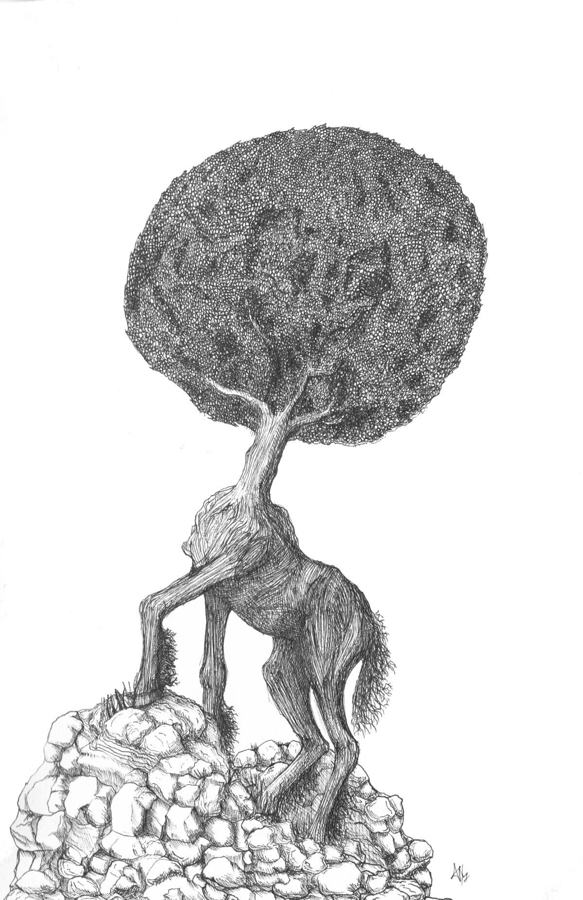Drawings – psylico.com